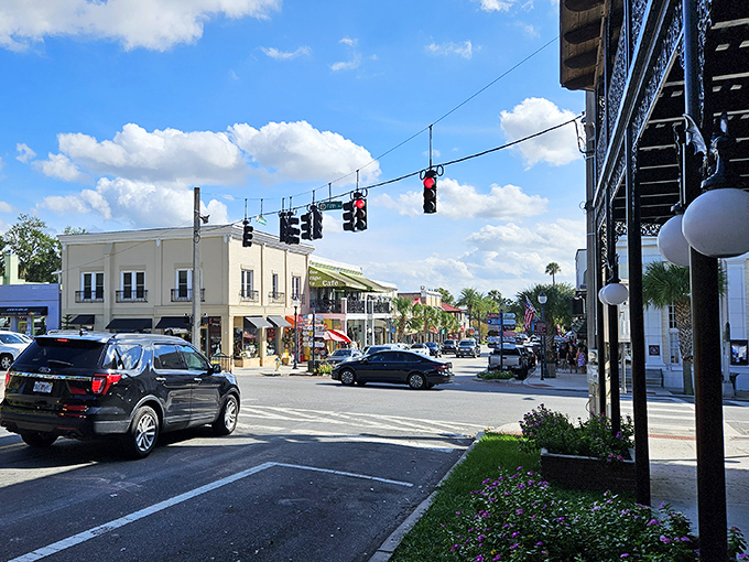 Palm trees frame Mount Dora's charming downtown, where colorful storefronts invite exploration. Florida's small-town magic without a single mouse in sight.