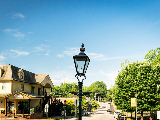 Vintage lampposts stand sentinel over Dahlonega's tree-lined streets, where every corner feels like you've stepped into a storybook small town.