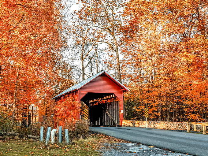 Fall's fiery palette creates nature's perfect frame for this crimson treasure. Maryland's history stands proudly against autumn's golden backdrop.