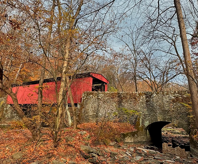 Nature's perfect frame: The historic Thomas Mill Covered Bridge stands proudly against autumn's canvas, its crimson exterior popping against fallen leaves and weathered stone.