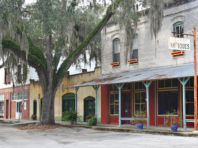 Spanish moss drapes over Micanopy's historic buildings like nature's own theater curtains, revealing a downtown straight from a time capsule.