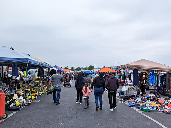 Treasure hunting paradise stretches endlessly, where every tent promises discoveries that'll make your heart skip beats.