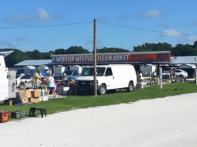 The gateway to treasure hunting paradise! Webster's iconic entrance promises adventures that'll make your inner collector do a happy dance.
