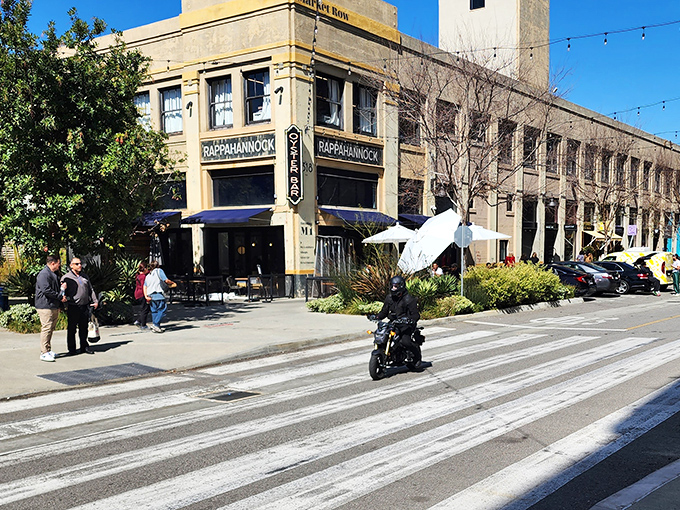 Pizzeria Bianco's ROW DTLA location brings architectural charm to industrial chic. The historic building's facade invites pizza pilgrims with understated elegance.