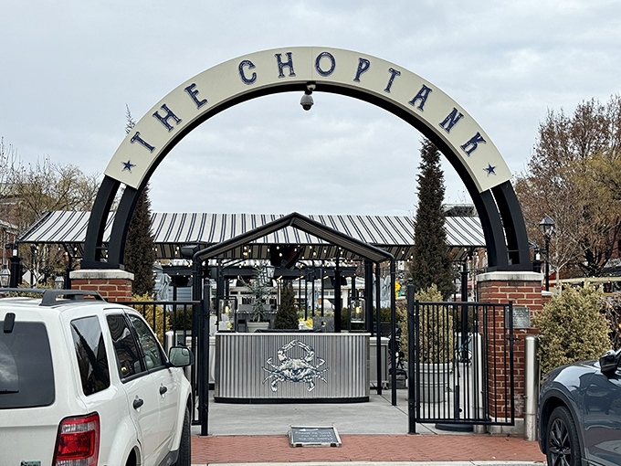 The gateway to seafood paradise! This iconic arch welcomes hungry visitors to The Choptank, where Baltimore's maritime heritage meets modern culinary craftsmanship.