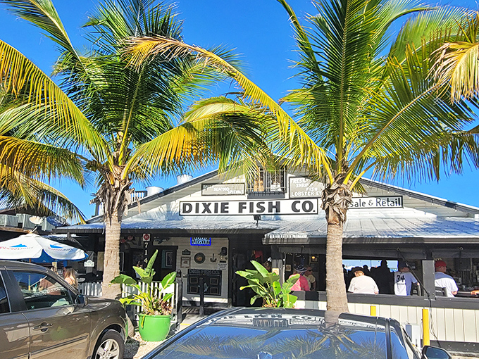 Welcome to seafood paradise, where the Gulf's bounty meets Fort Myers Beach's laid-back charm in perfect harmony.