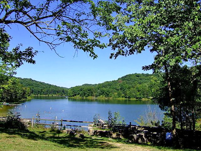 Canoes lined up like eager puppies at the dock, ready to help you explore Lake Hope's 120 acres of pristine water adventures.