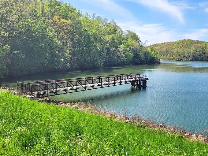 A wooden fishing pier stretches into the emerald waters of Dow Lake, inviting visitors to pause and soak in nature's masterpiece.