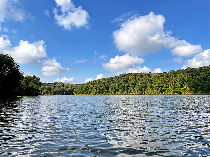 Nature's masterpiece on display at Salt Fork Lake, where the water mirrors the sky and trees stand like guardians of tranquility.