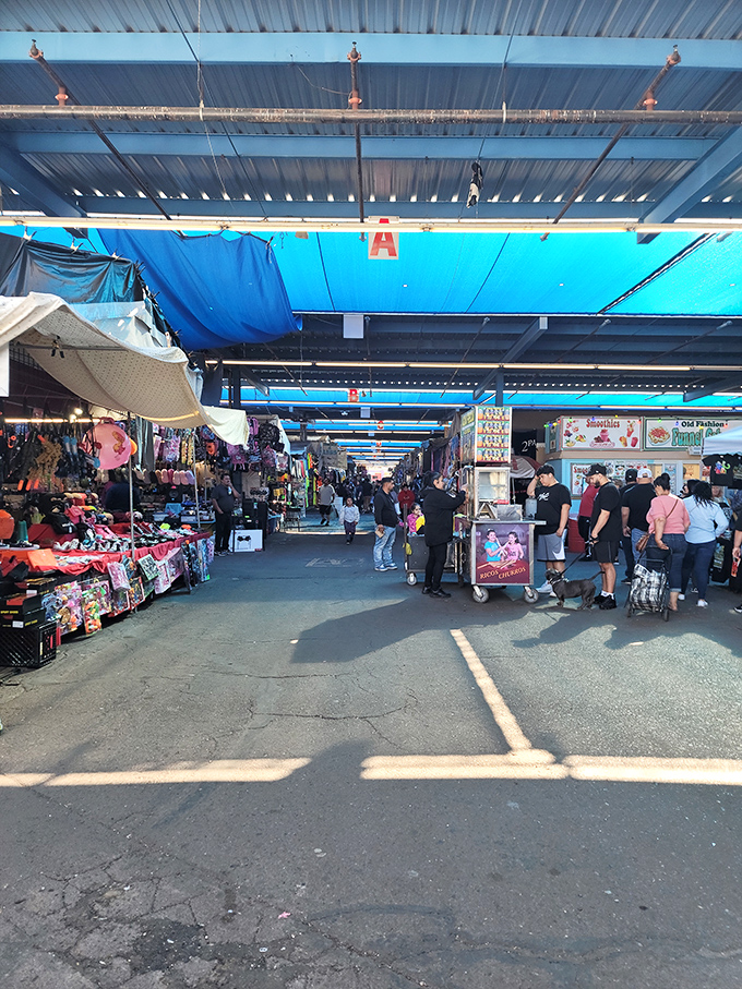 The covered walkways of Greyhound Park Swap Meet offer a welcome respite from Arizona's relentless sun, creating a bazaar-like atmosphere where treasures await.