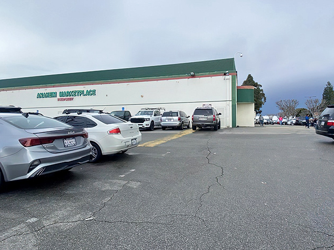 The unassuming exterior hides a universe of treasures within&mdash;like finding Narnia in your neighbor's closet, only with better shopping opportunities.