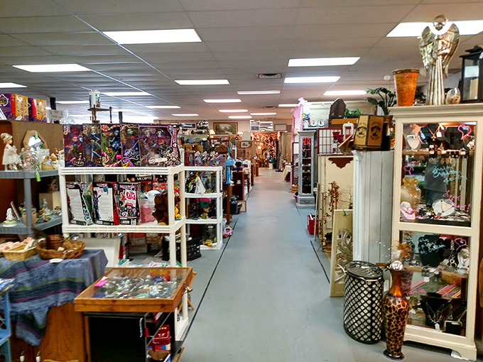 Treasure hunters' paradise: Endless aisles of collectibles and curiosities await at Miller's Crossing Fleatique, where one person's past becomes another's perfect find.