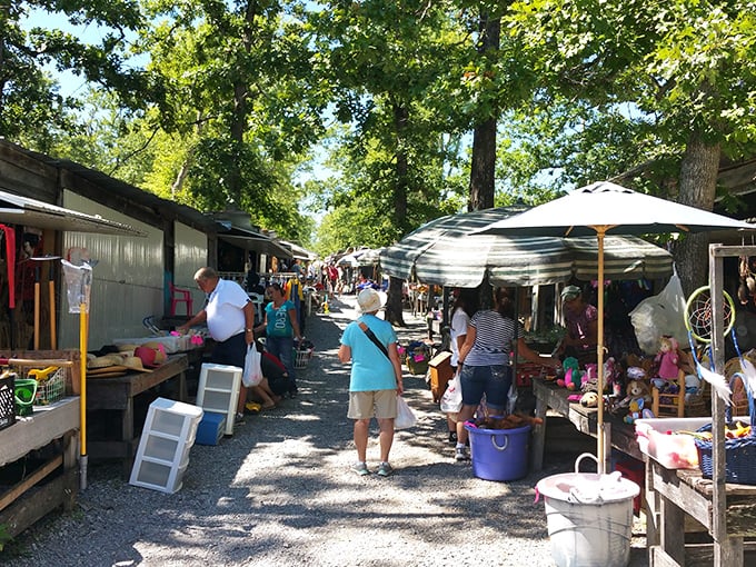 Treasure hunters navigate the shaded pathways of Crossville Flea Market, where one person's castoffs become another's prized possessions.