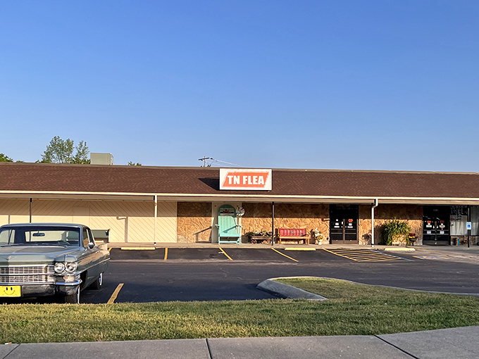 This unassuming storefront holds more treasures than a pirate's chest &ndash; and better parking too.