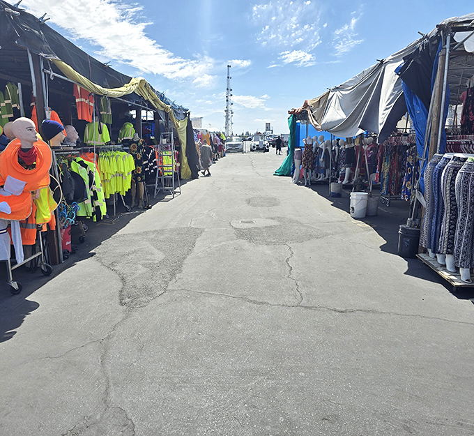 Treasure hunters navigate the endless aisles of Denio's, where neon work vests meet vintage fashion in a shopper's paradise that stretches to the horizon. 