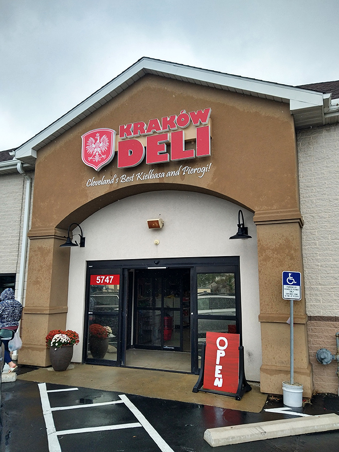 The tan façade with vibrant flower baskets says "Welcome to Poland" before you even step inside. Like finding Europe tucked between a hardware store and dry cleaner.