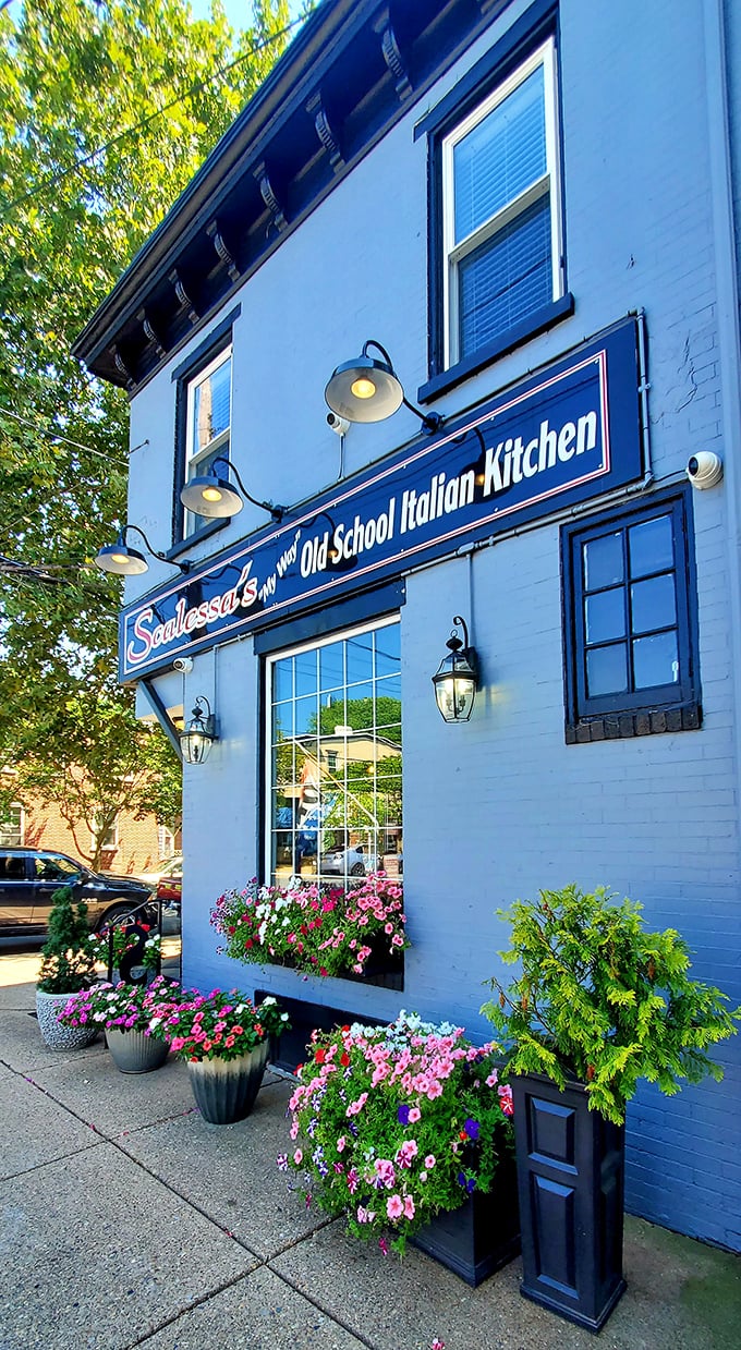 The blue brick exterior of Scalessa's isn't just charming&mdash;it's a beacon of culinary promise with those flower boxes practically shouting, "Good food happens here!"