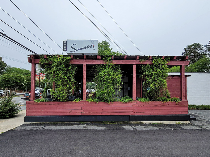 The unassuming exterior of Scrambled, where vines creep up the pergola like nature's own welcome committee, promising delicious secrets inside.