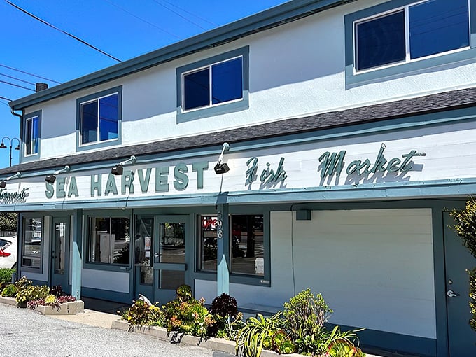 The unassuming exterior of Sea Harvest belies the oceanic treasures within. Like a seafood speakeasy, it's where locals go when they want the real deal.