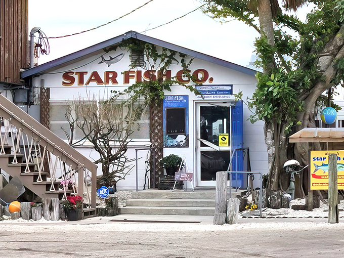 The unassuming exterior of Star Fish Company proves once again that in Florida, the best seafood often hides behind the simplest facades.