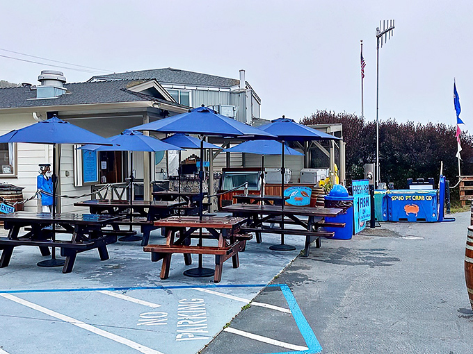 The blue umbrellas and picnic tables outside Spud Point Crab Company aren't just seating&mdash;they're front-row tickets to the freshest seafood show in Bodega Bay.
