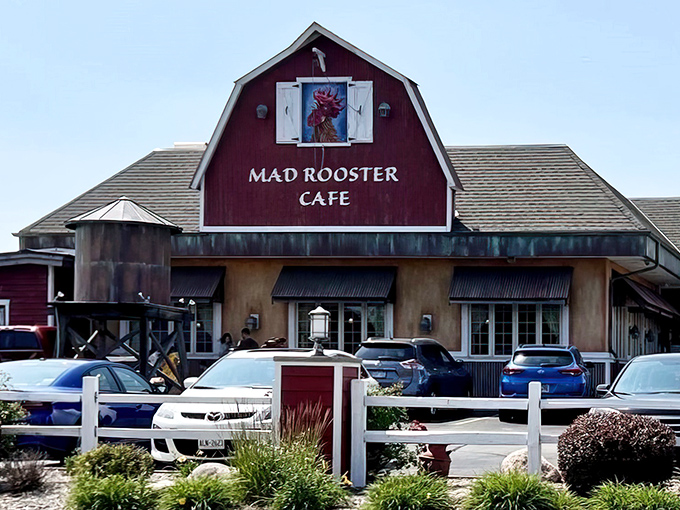 That barn-red exterior isn't fooling anyone – this rooster knows exactly what breakfast treasures lie within.