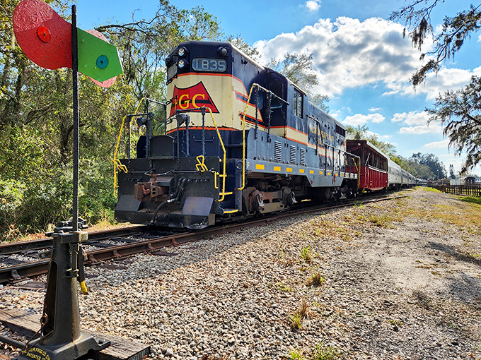 The majestic Florida Gulf Coast locomotive #1835 stands ready for adventure, its blue and yellow livery gleaming against Florida's impossibly blue sky.