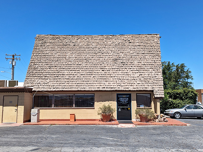 Don't judge this book by its cover – behind that humble exterior lies breakfast magic waiting to happen.