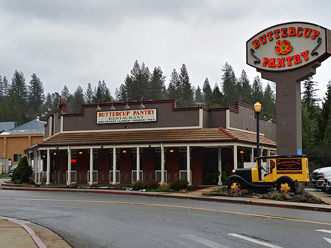 The buttercup-yellow sign beckons like a lighthouse for the breakfast-starved. This charming exterior promises comfort food salvation inside.