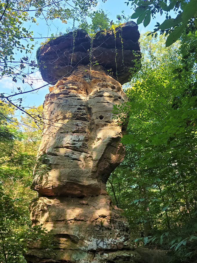 Nature's balancing act at its finest! Jug Rock stands proudly among the lush Indiana forest, looking like a prehistoric waiter carrying an impossibly heavy tray.