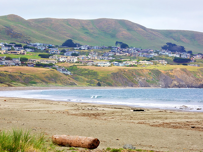 Coastal paradise from above! Bodega Bay's sun-drenched neighborhoods cascade toward the Pacific, where that iconic pier stretches into impossibly blue waters.