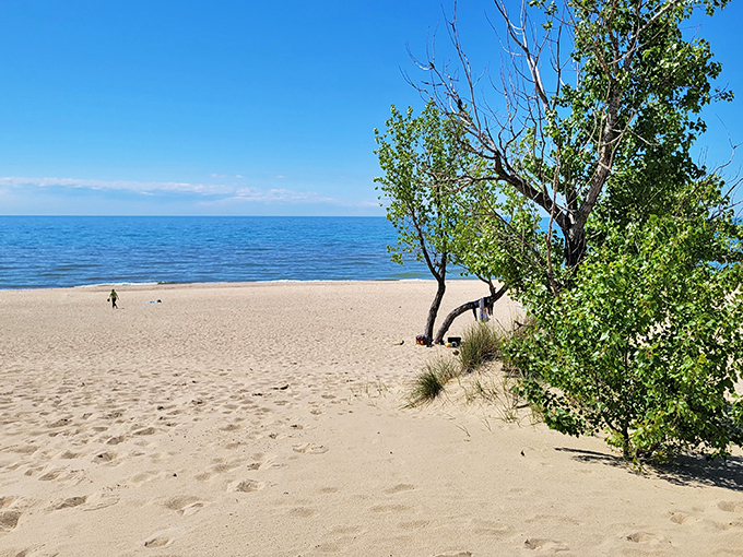 Where Michigan masquerades as the Caribbean. The pristine shoreline stretches toward the horizon, proving the Great Lakes can rival any ocean view.