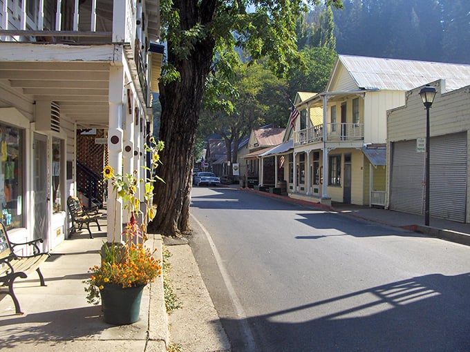 Main Street Downieville looks like a movie set where Gold Rush history meets modern-day charm, complete with wooden sidewalks that practically whisper tales of 49ers.