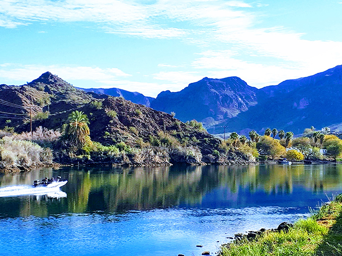 Where desert meets water in perfect harmony – Buckskin Mountain's dramatic landscapes create a photographer's paradise along the Colorado River.