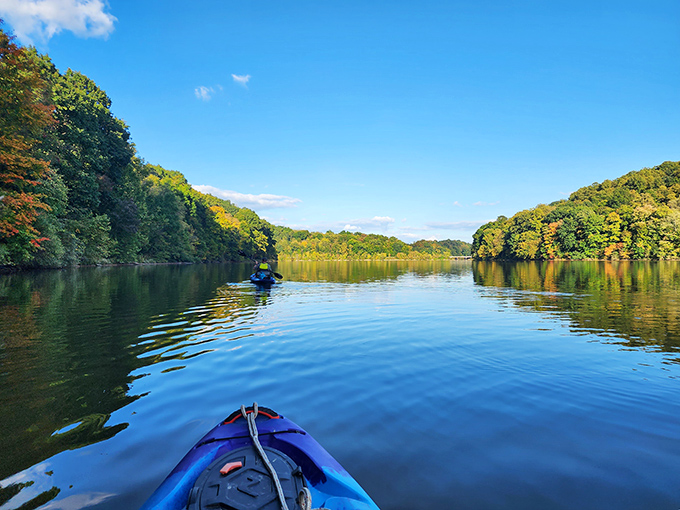 Nature's masterpiece on display at Salt Fork Lake, where the water mirrors the sky and trees stand like guardians of tranquility.