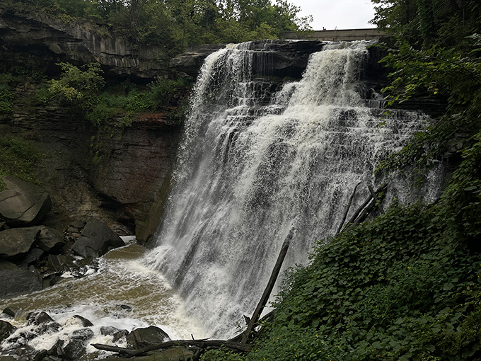 Nature's own masterpiece in motion, Brandywine Falls cascades 65 feet down layered rock formations, creating a mesmerizing display that hypnotizes visitors year-round.
