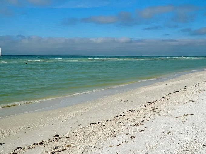 The meeting of turquoise waters and powdery white sand creates nature's perfect gradient. Keewaydin's shoreline remains blissfully undeveloped, a Florida rarity worth treasuring.