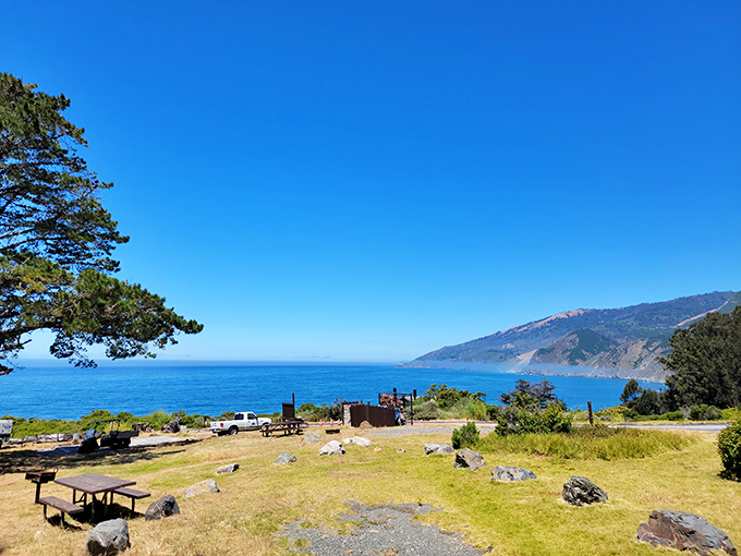 Mother Nature's front porch with an ocean view. The meeting of golden meadows, towering trees, and that impossibly blue Pacific horizon creates California's most perfect postcard moment.