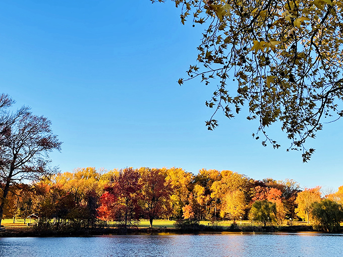 Nature's own autumn masterpiece unfolds at Bellevue State Park, where the trees dress in their Sunday best and the pond serves as their mirror.