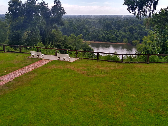 Nature's balcony awaits! These riverside benches offer front-row seats to Florida's most un-Florida-like landscape show.
