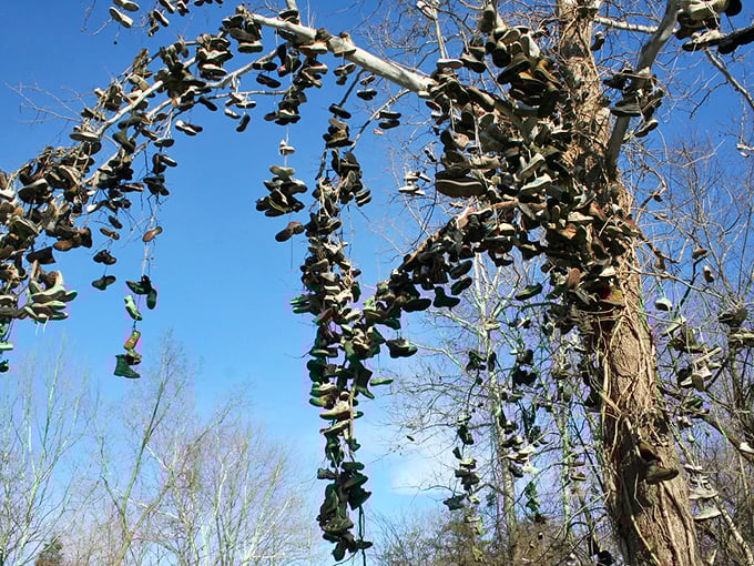 Against a brilliant blue Indiana sky, the Shoe Tree stands tall, its branches heavy with hundreds of dangling footwear instead of leaves.