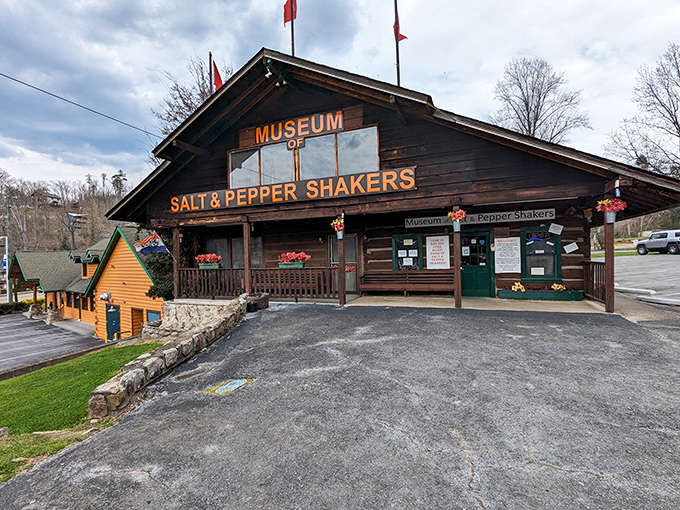 The rustic log cabin exterior of Gatlinburg's Salt & Pepper Shaker Museum promises a seasoned adventure inside. Who knew condiment containers could be so captivating?