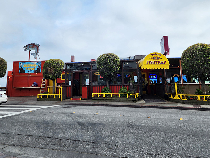 The unmistakable orange beacon of Barbara's Fishtrap stands proudly on stilts over the water, like a delicious mirage for hungry coastal travelers.