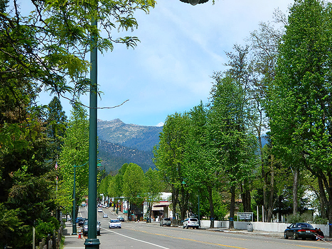 Weaverville's main street looks like it was plucked from a movie set, with those majestic mountains standing guard like nature's own security detail. 
