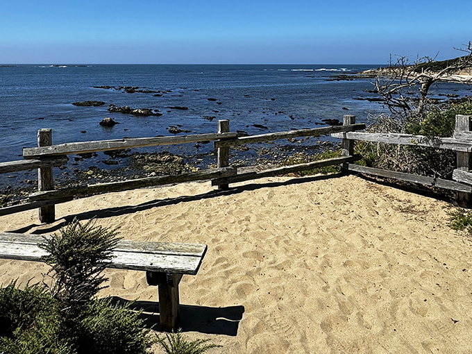 A sandy viewing platform offers nature's perfect balcony, where the Pacific stretches endlessly before you like the world's biggest blue carpet.