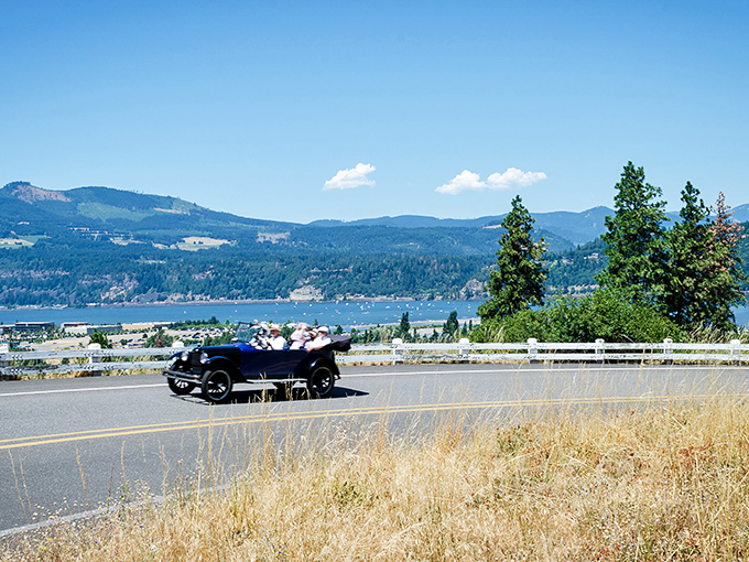 The open road beckons with its gentle curves and dappled sunlight. Mother Nature's version of a welcome mat for road-trippers seeking solace.