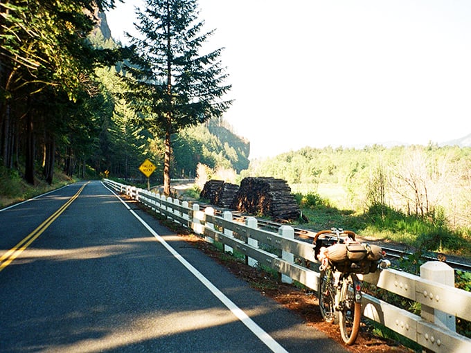 The open road beckons with its gentle curves and dappled sunlight. Mother Nature's version of a welcome mat for road-trippers seeking solace.