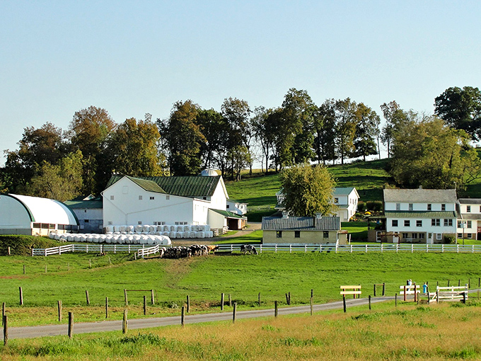 Rolling hills, white barns, and emerald pastures &ndash; Charm, Ohio isn't just well-named, it's a postcard come to life in Holmes County.