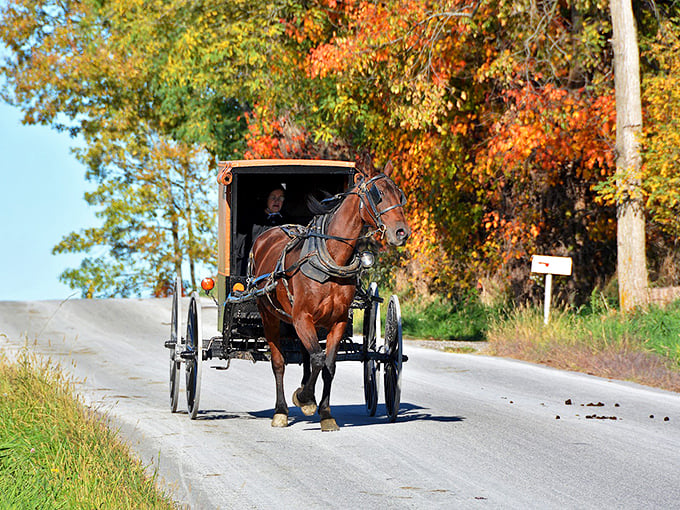 The quintessential Lancaster County scene: an Amish buggy traveling along winding country roads, where time slows down just enough to savor life's simple pleasures.