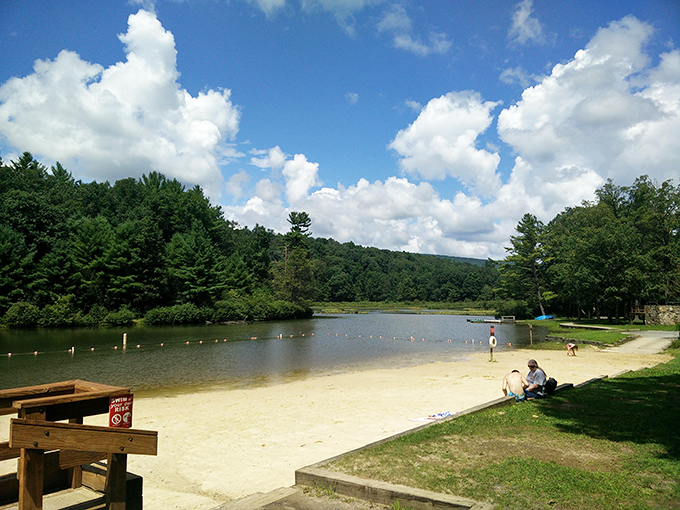 Nature's perfect postcard: crystal clear waters meet golden sand, all framed by Pennsylvania's lush forest canopy. Summer perfection awaits.